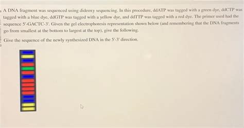 Solved A DNA Fragment Was Sequenced Using Dideoxy Chegg