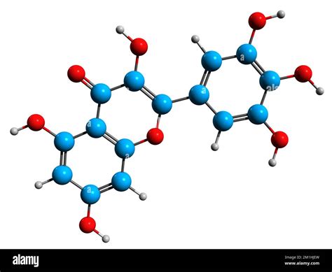 Superoxide Dismutase Structure