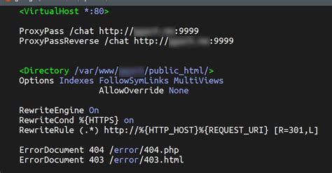 Apache How To Properly Map Port To Param