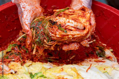 소금에 절인 배추에 각종 양념을 추가해 배추김치를 만드는 여성의 손 클로즈업 Stock 写真 Adobe Stock