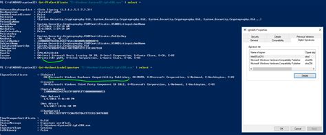 C How To Get The Name Of The Signer From A Signed File Stack Overflow