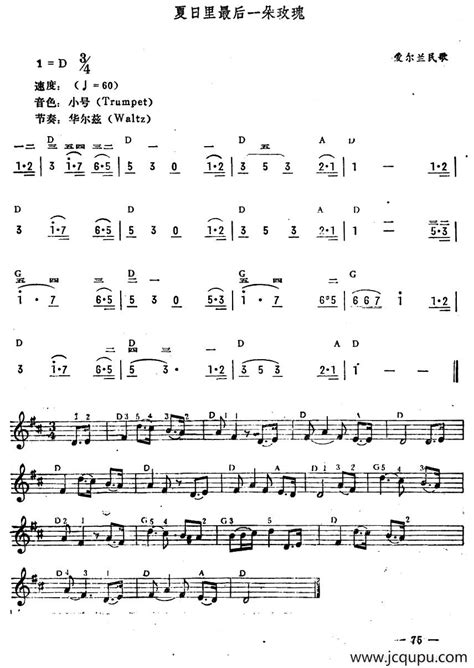 夏日里最后一朵玫瑰简谱 电子琴谱柳邻猫