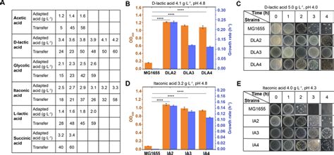 Of Adaptive Laboratory Evolution Process And Results A Starting Download Scientific Diagram