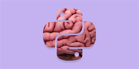 The Complete Python Certification Bootcamp Bundle StackSocial