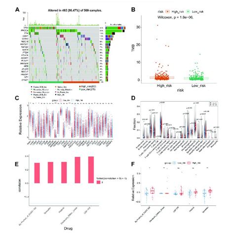 Correlation Analysis Of Risk Model With Genomic Mutations Immune