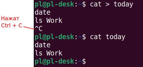 Простые Bash скрипты как исполняемые файлы со списком команд