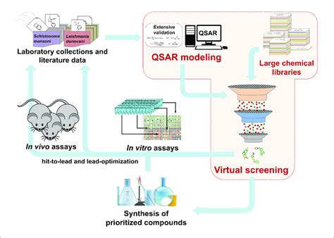 Qsar Based Virtual Screening Workflow Download Scientific Diagram