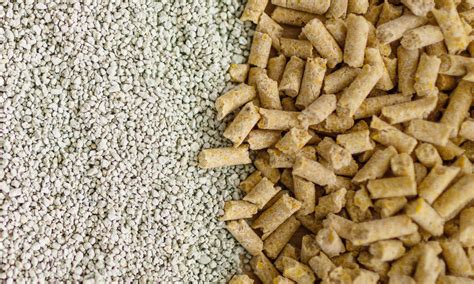 Cat Litter Vs Pellets What You Need To Know The Luxcat