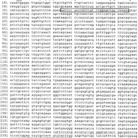 nucleotide sequence of mouse 6 integrin coding region dotted underline