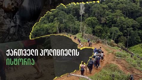 ჯუნგლები გვამები ნარკოკარტელი როგორ ჩავედი ამერიკაში Netgazeti • ამერიკა • აშშ • ემიგრანტი