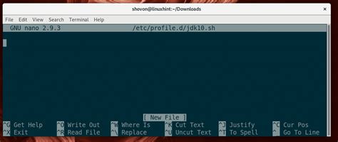 Install Oracle Jdk 10 On Arch Linux Onet Idc Onet Idc