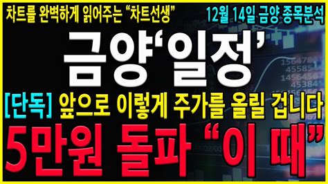 금양 주가 전망 긴급 와기장공장 건설재개 5만원 돌파 시나리오 떴다 12월 붕기둥폭발 합니다이거 일정만 뜨면