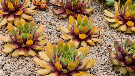 이영상꼭보세요구독자 질문 답해드립니다~ Youtube