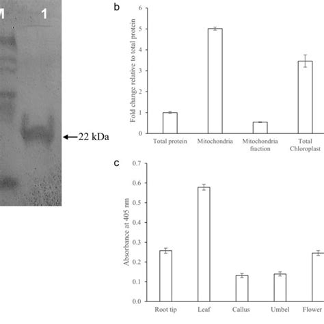 Multiple Sequence Alignment Of Giy Yig Domain Of Msh1 Giy Yig Domain Download Scientific