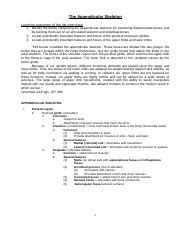 AP Lab Appendicular Skeleton Completed JobSP Docx The Appendicular Skeleton Learning