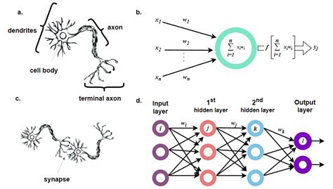 Bioinfocodes Overview Of Deep Learning And Genomics Uses