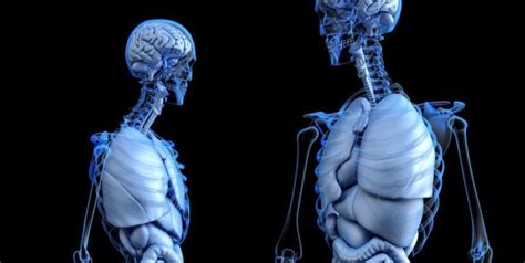 What Is Wedge Resection Klarity Health Library