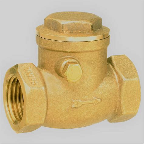 1 Inch Brass Swing Ips Check Valve Npt Grelly Usa