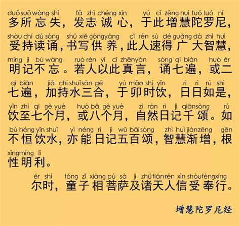 註音版增慧陀羅尼經 佛教大藏經 佛弟子文庫