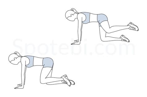 Fire Hydrant Illustrated Exercise Guide Workout Guide Fire Hydrant Workout Exercise