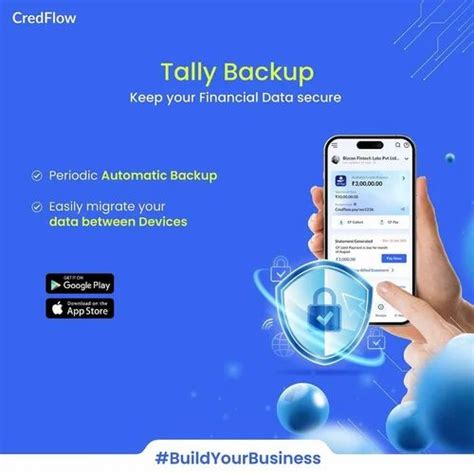 Tally Backup Services In Jaipur ID