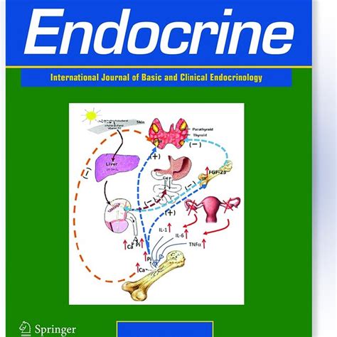 Carbonate And Non Carbonate Hardness Compounds Download Scientific Diagram