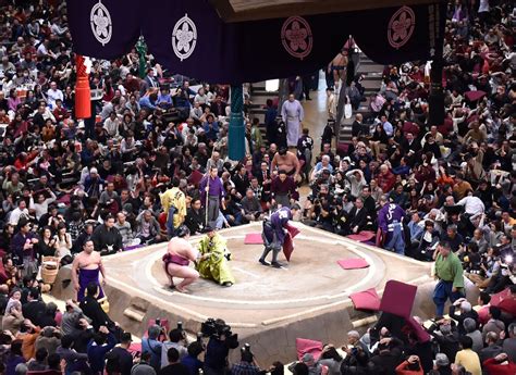 大相撲：「めっちゃうれしい」御嶽海の初金星 祝う座布団 毎日新聞