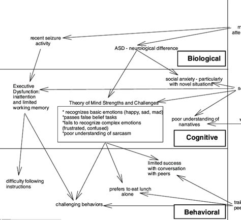 3 Causal Model Of Functioning At The Biological Cognitive And Download Scientific Diagram