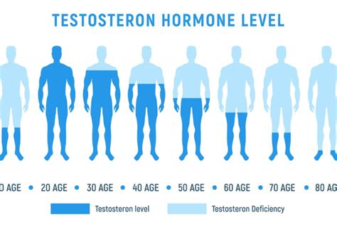 Understanding Testosterone Levels By Age Chart Your Guide Testo Genie