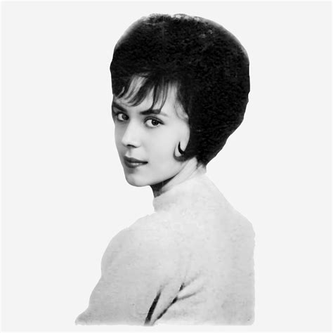 I Survived Cal City 60409 Rip April Janka 29 Nov 2024 Tf North