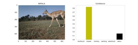 Dsail Developing A Low Cost Raspberry Pi Based Camera Trap For