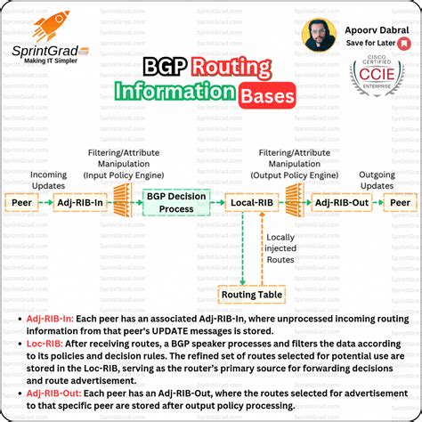 sprintgrad on linkedin practicaltraining bgp ospf lsadeepdive networkingbasics dvrpvslsrp…