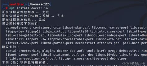 关于docker无法定位软件包 Csdn博客