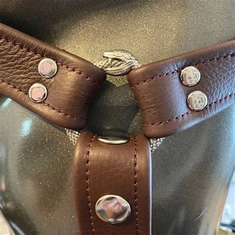 Sidewinder Suspender Harness Liliths Way The Montrose Forge