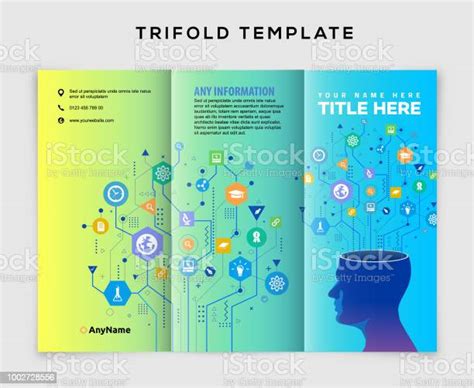 교육 아이디어 Trifold 디자인 3단 브로슈어에 대한 스톡 벡터 아트 및 기타 이미지 3단 브로슈어 대학교 디자인 Istock