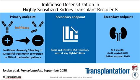 Imlifidase European Renal Association