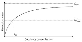 Enzyme Kinetics