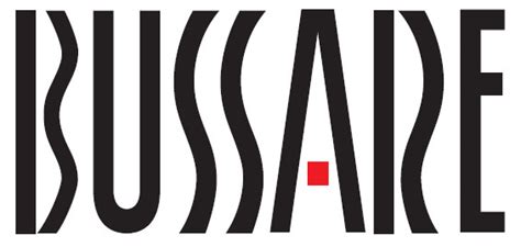 BUSSARE производитель дверных замков и фурнитуры