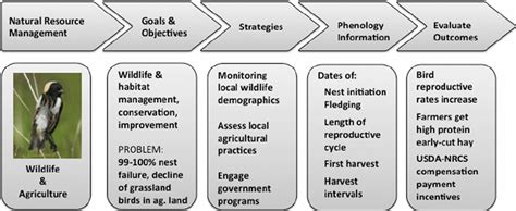 An Example Of The Successful Application Of Phenological Information To