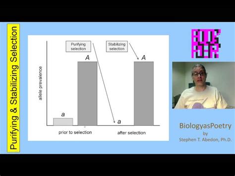 Purifying Selection