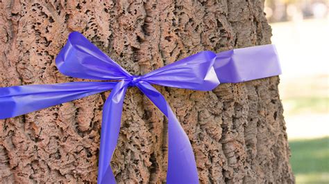 Sexual Harassment Violence And Relationship Abuse Uc Davis