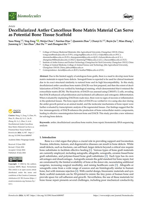 Pdf Decellularized Antler Cancellous Bone Matrix Material Can Serve As Potential Bone Tissue