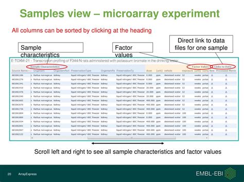 Ppt Arrayexpress And Gene Expression Atlas Powerpoint Presentation
