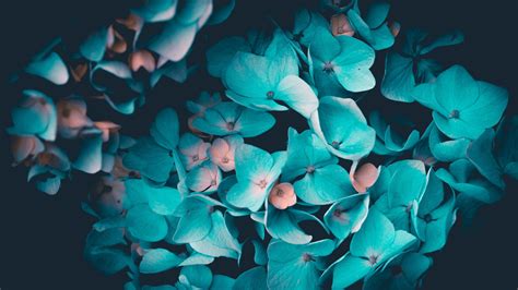 Teal 4k Wallpapers Top Free Teal 4k Backgrounds Wallpaperaccess