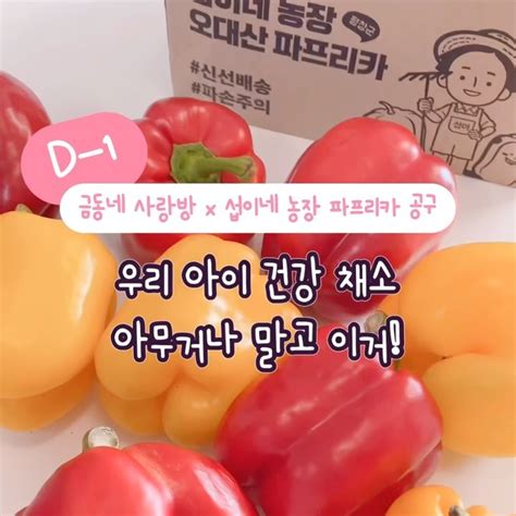 섭‘s 파프리카 Subfarm • Instagram Photos And Videos