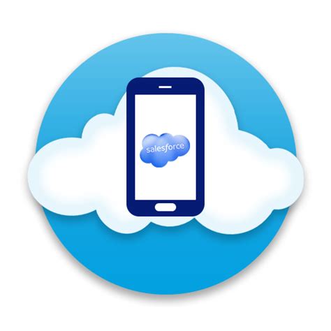 Salesforce Mobile App Development Company Usa Zenesys
