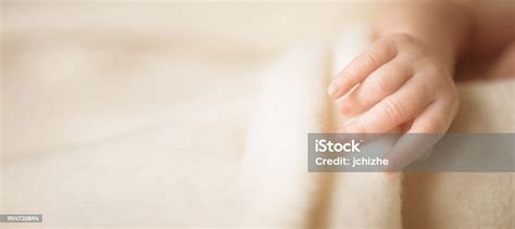 신생아의 작은 손 엄마와 그녀의 아이 출산 가족 배려와 탄생 개념입니다 텍스트에 대 한 공간을 복사 합니다 배너 아기에 대한