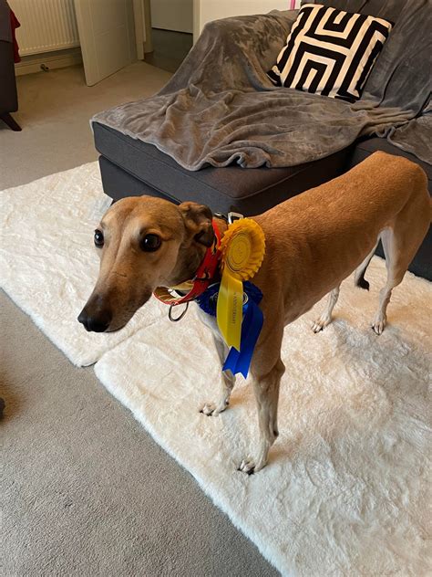 Who Is The Hottest Mr Robot Female Character R Mrrobot