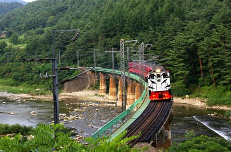 기차여행 하늘투어