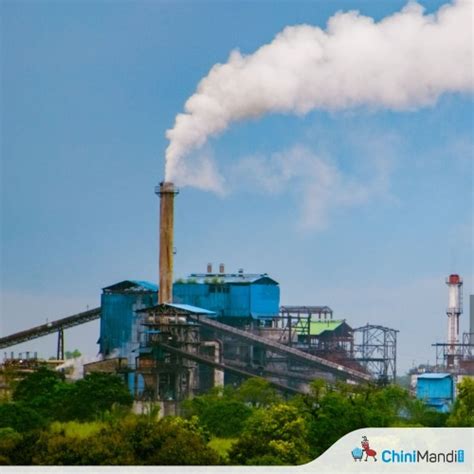 थाईलैंड वायु गुणवत्ता और सड़क सुरक्षा के लिए चीनी मिलों का संचालन निलंबित कर दिया गया Chinimandi